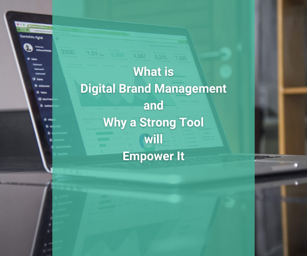 What is Digital Brand Management and How a Strong Tool will Empower It